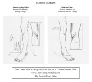 Bladder Meridian Strengthening & Sedating Points | Eden Energy Medicine