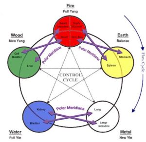 Relationship of the 5 Elements and Polar Meridians | Eden Energy Medicine