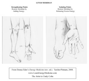 Liver Meridian Strengthening & Sedating Points | Eden Energy Medicine