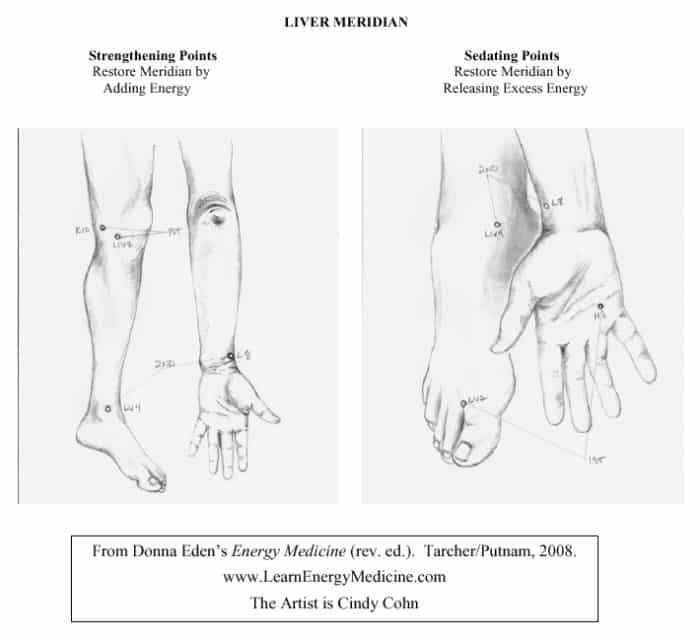 Liver Meridian Strengthening & Sedating Points | Eden Energy Medicine